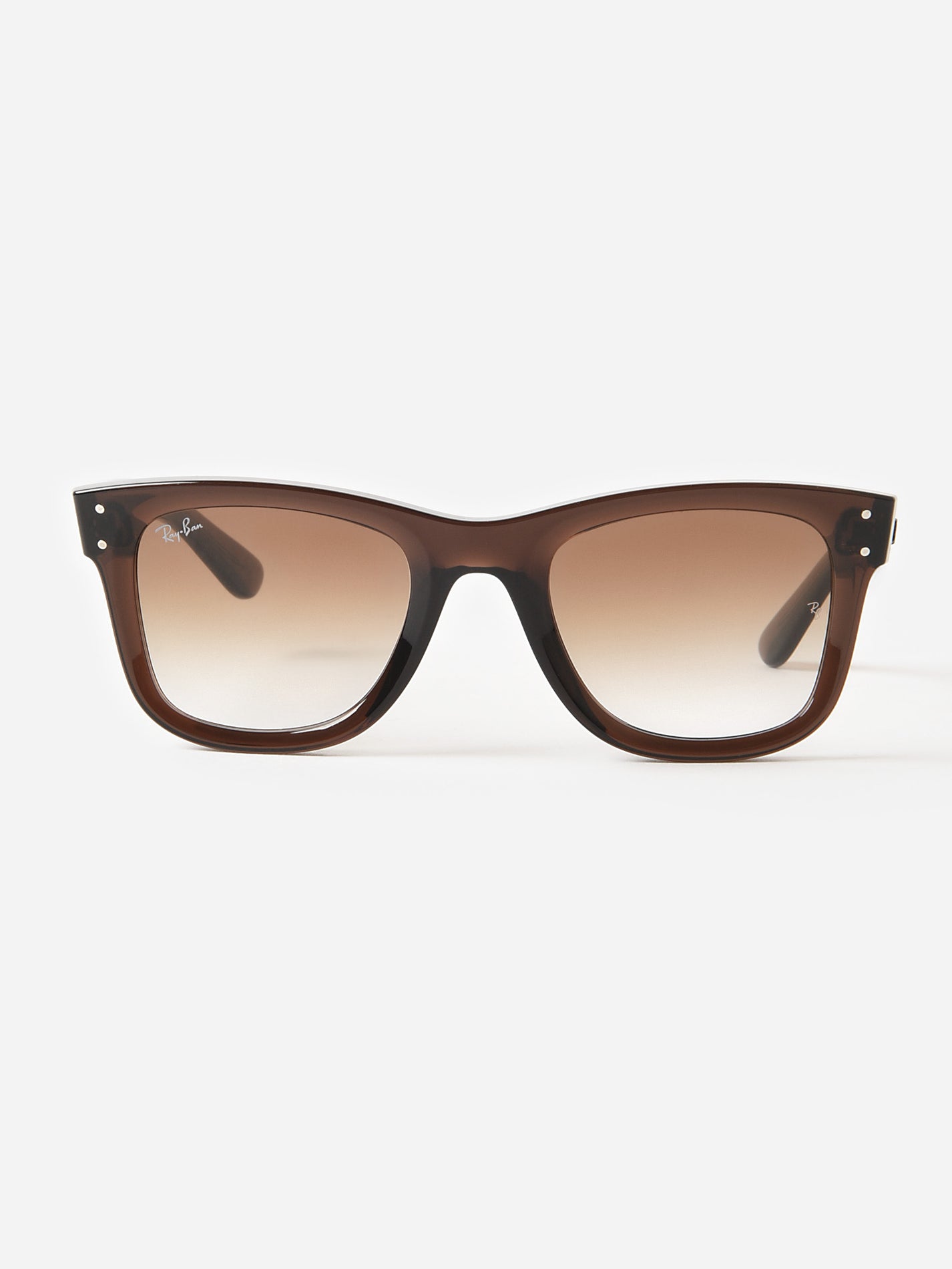 Ray-Ban Wayfarer Reverse Sunglasses – saintbernard.com