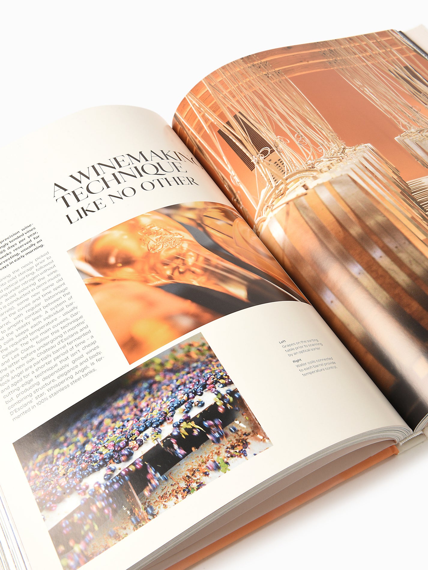 Abrams Publishing Adventures in Rosé Wine in Provence | $40.00 | Saint ...