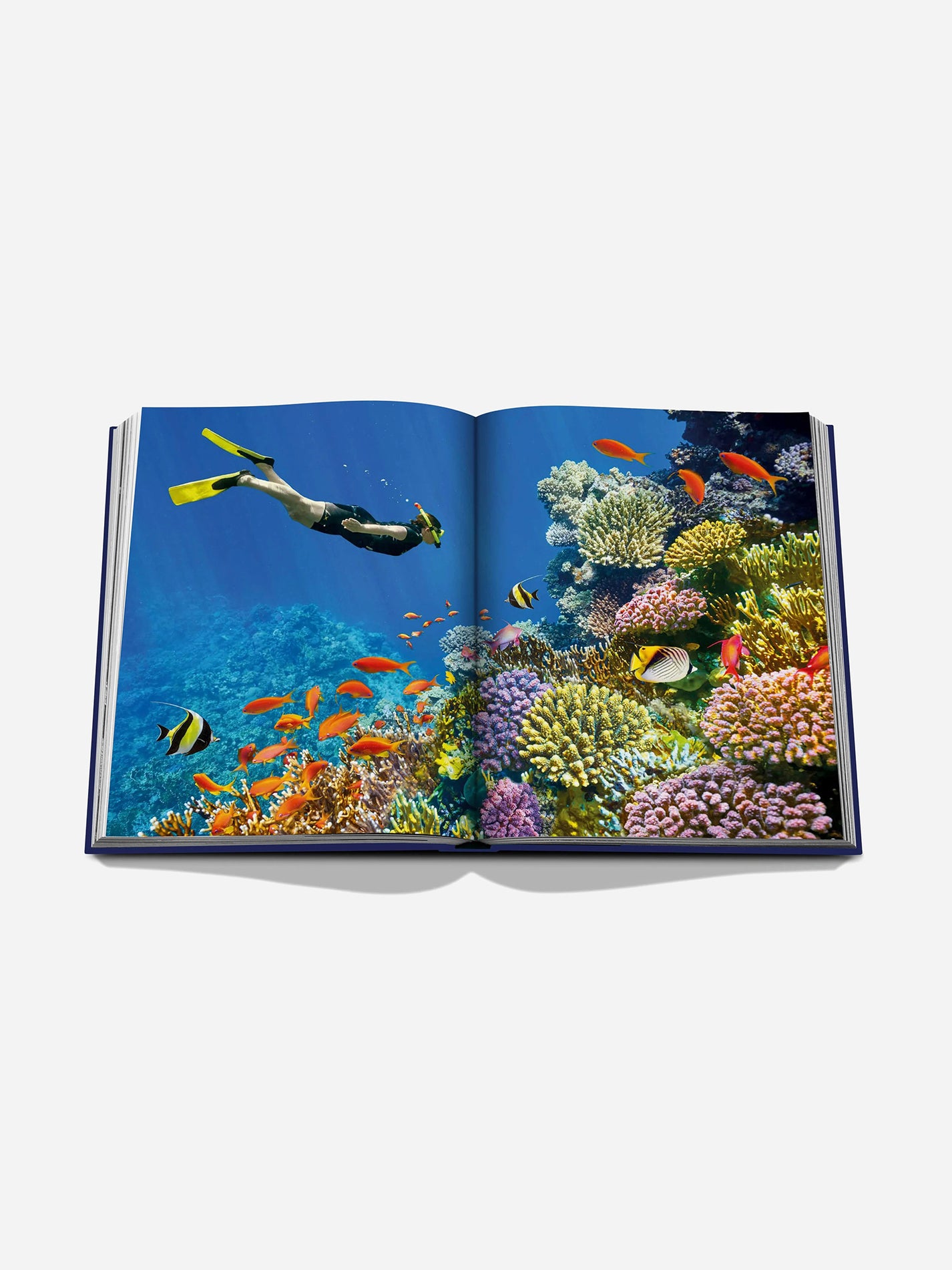 Assouline Ocean Wanderlust Book | $105.00 | Saint Bernard