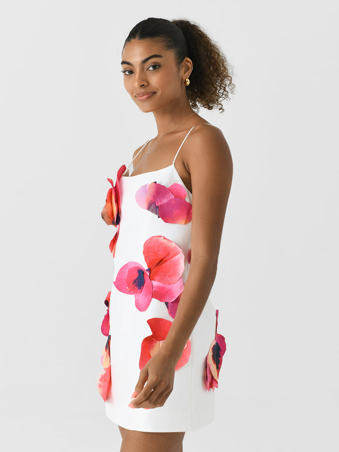 Acler Women's Miltonrise Mini Dress – Saint Bernard