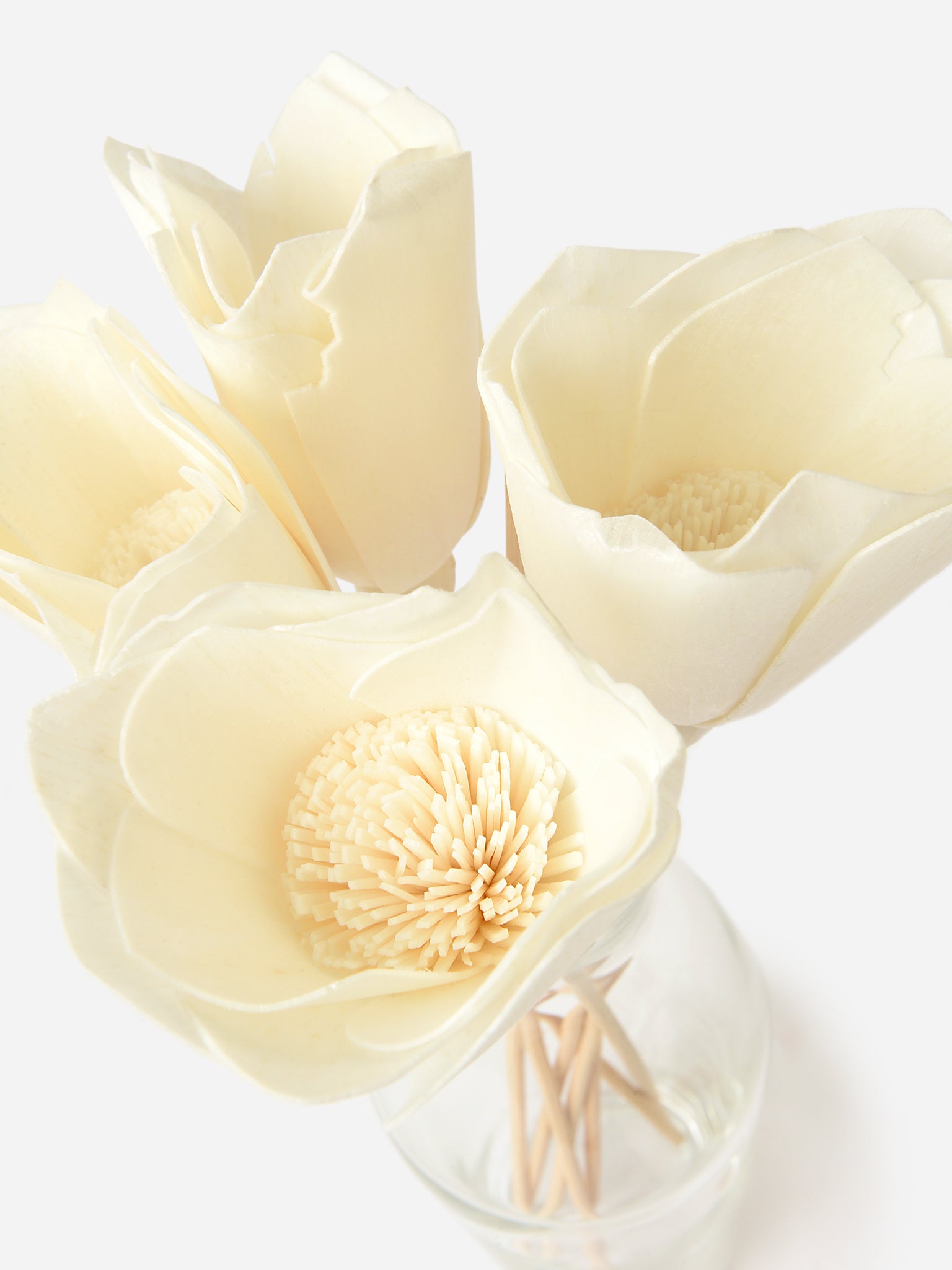 B's Knees Classic Natural Reed Diffuser | $48.00 | Saint Bernard