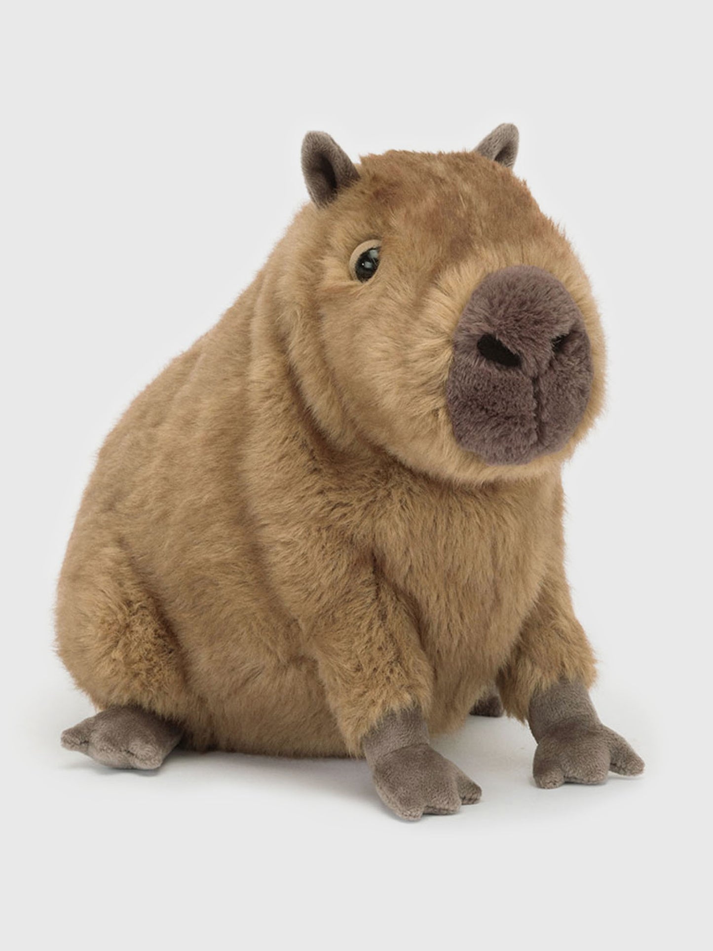 Jellycat Clyde Capybara Plush | $50.00 | Saint Bernard