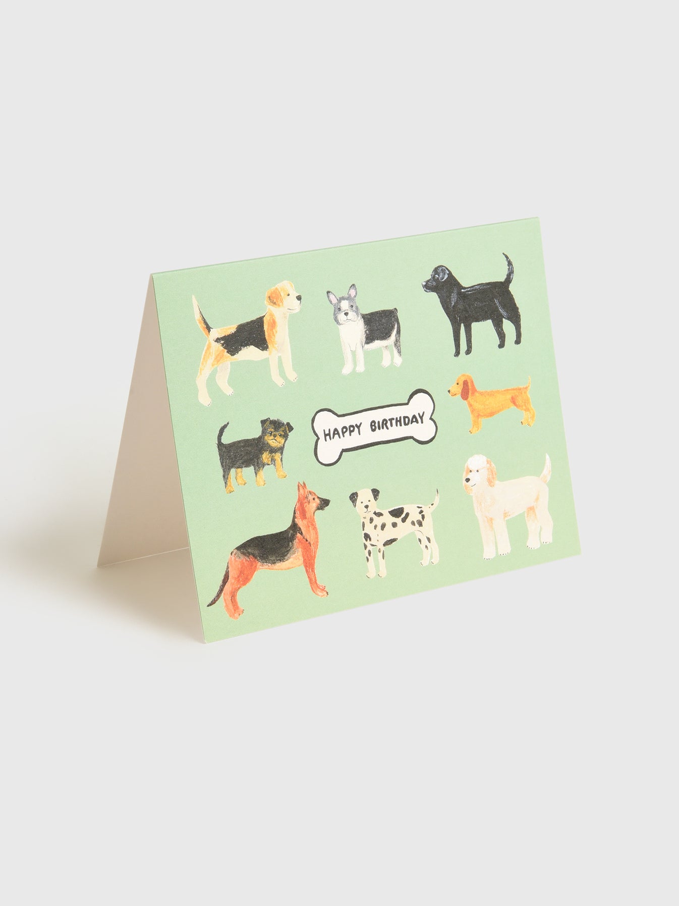 Forage Paper Co Birthday Card | $6.00 | Saint Bernard