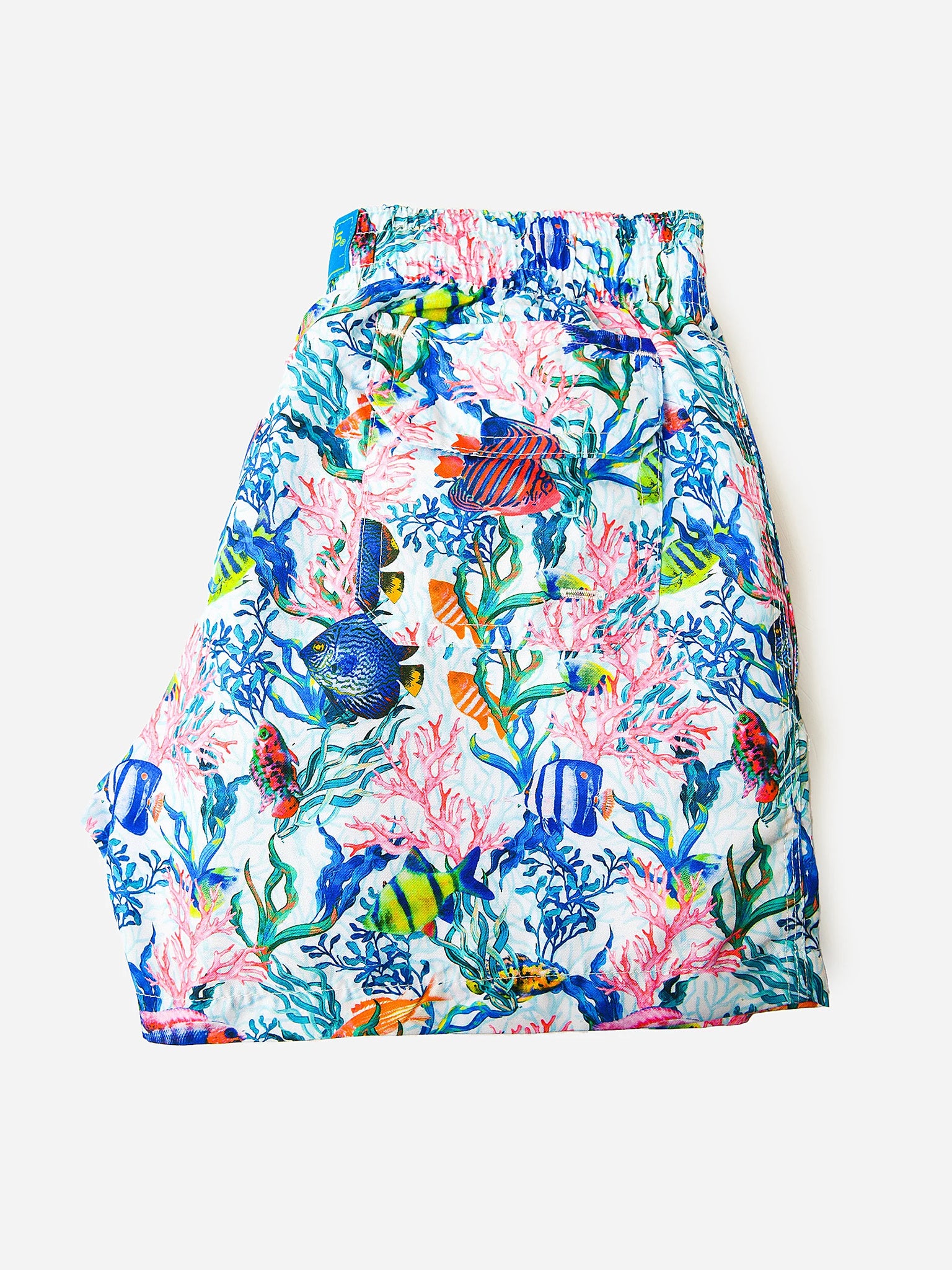 Michaels Swimwear Boys' School Of Fish Swim Trunk | $80.00 | Saint Bernard