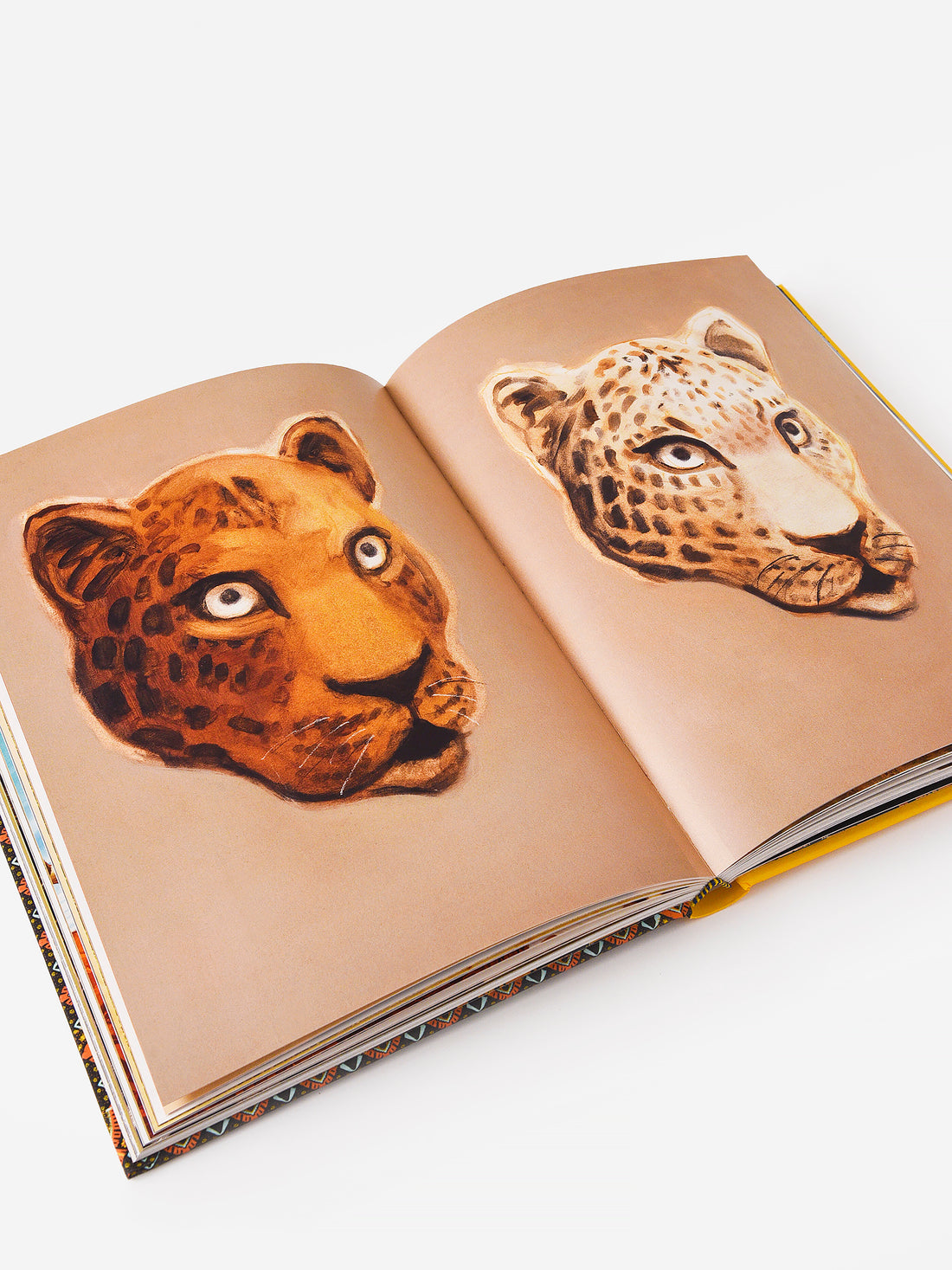 Assouline Arabian Leopard Book – saintbernard.com