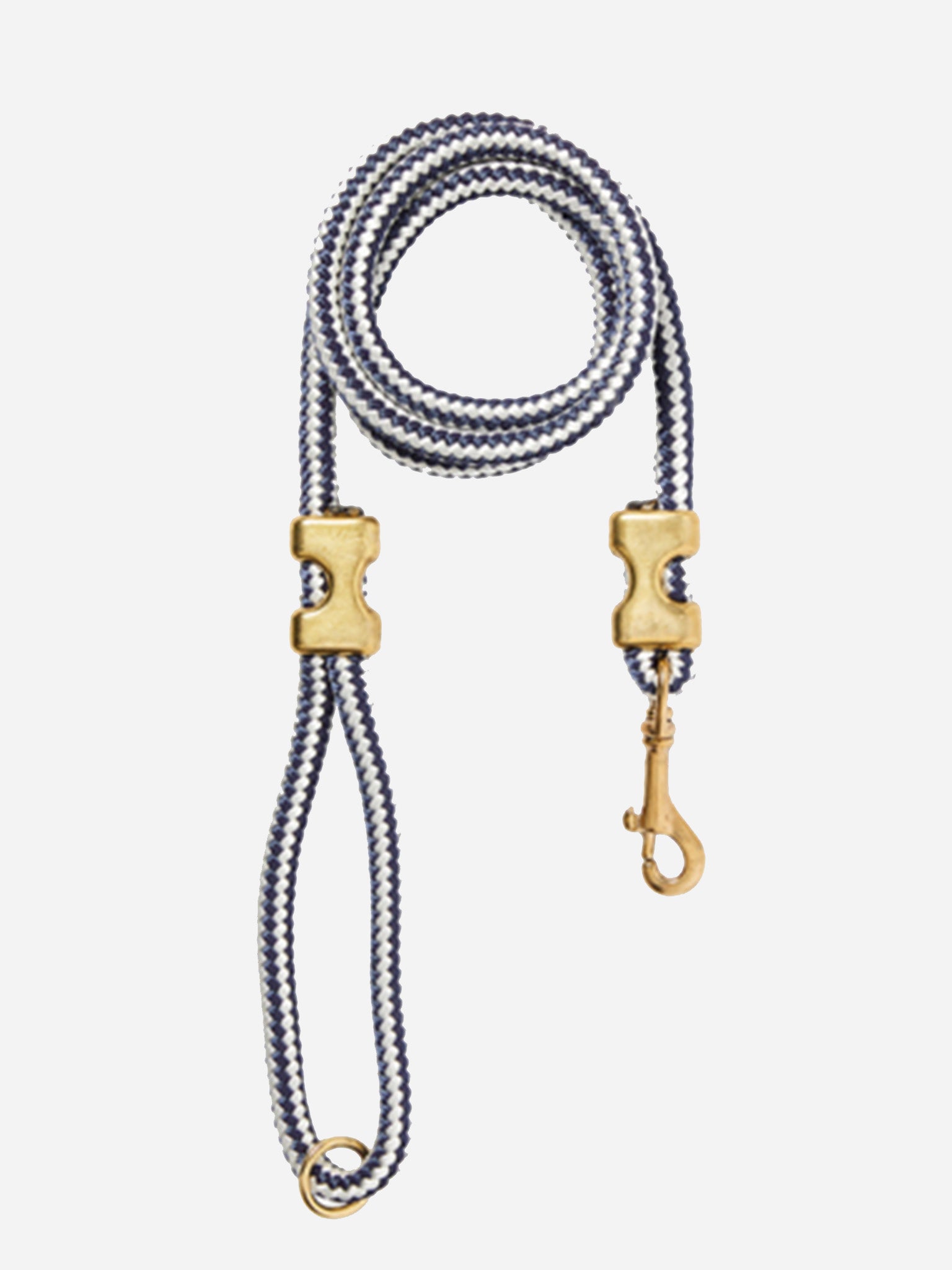 Paws Wild Rope Leash - Saint Bernard