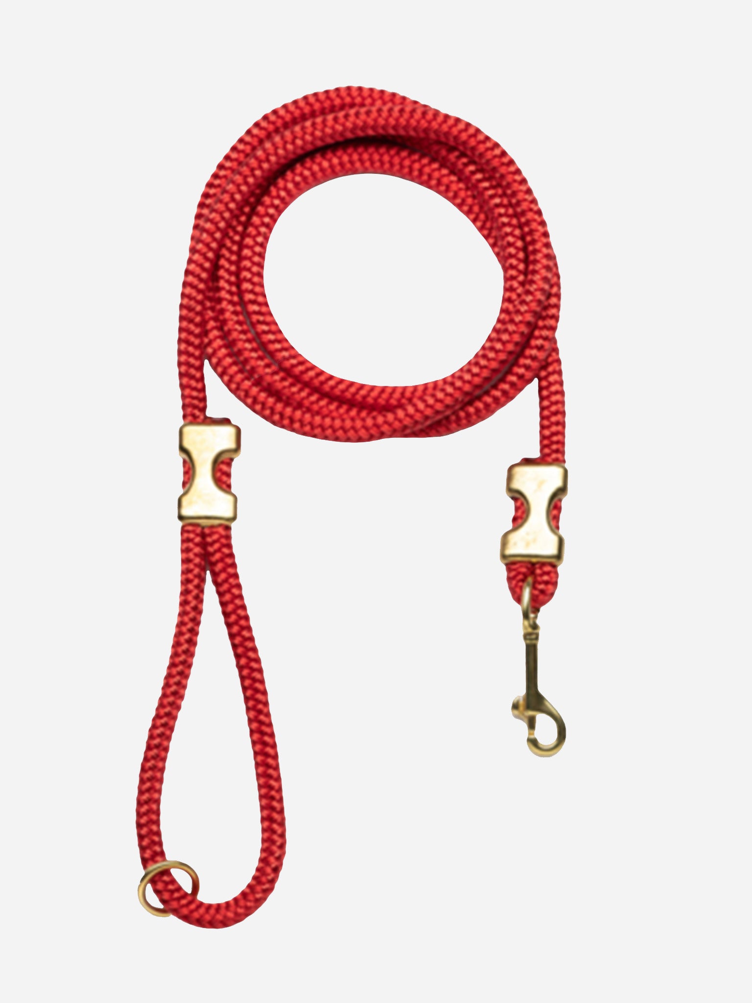 Paws Wild Rope Leash | $44.00 | Saint Bernard
